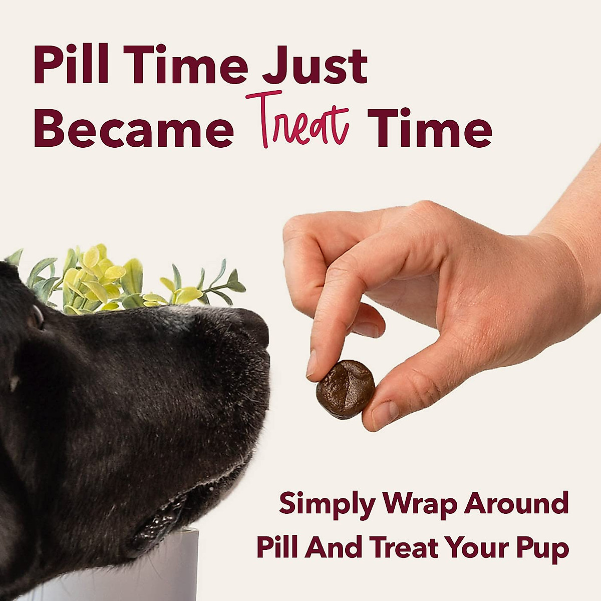 iHeartDogs Probiotic Pill Paste Wrap for Dogs – 4 oz Chicken & Bacon Flavored Pill Masker for Picky Dogs - Hide Medication in This Tasty Hide-A-Pill Dough