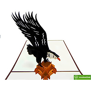 American Eagle, 3D Popup greeting card for birthday, valentine's day, mother's day, anniversary, thank you, get well, 6" x 6"