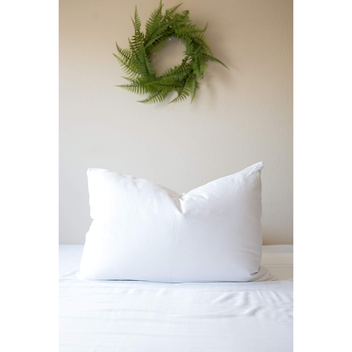 Pacific Coast Touch of Down Standard Size 2-Pillow Set with 2 Standard Size Pillowtex Pillow Protectors