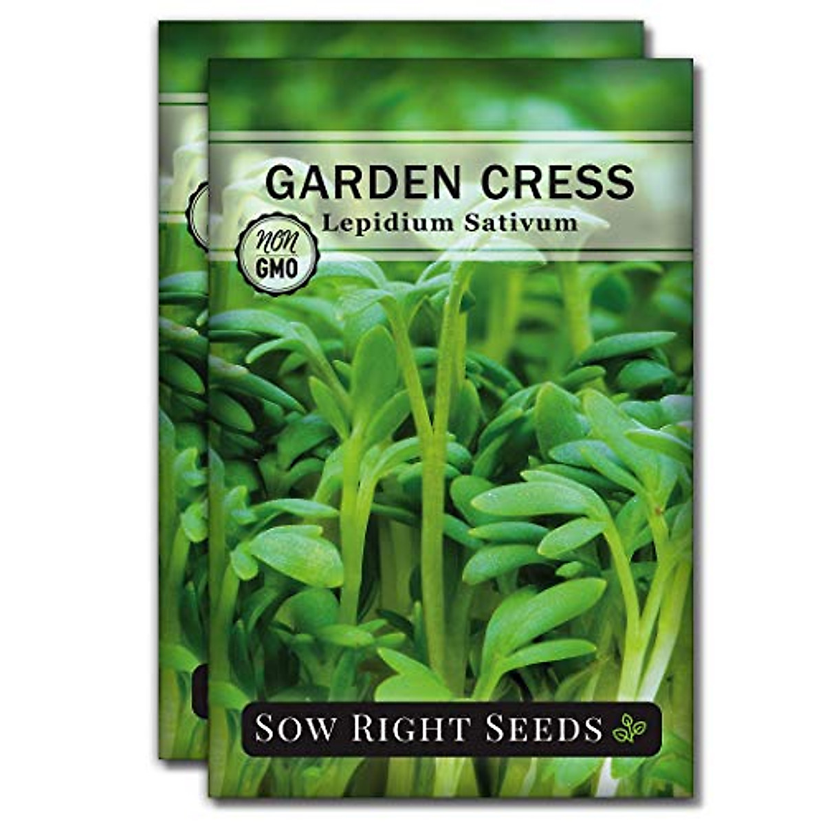 Sow Right Seeds - Cress Seed for Planting - All Non-GMO Heirloom Cress Seeds with Full Instructions for Easy Planting and Growing Your Kitchen Herb Garden, Indoor or Outdoor; Great Gift (2 Packets)