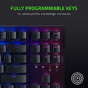 Razer BlackWidow V3 Tenkeyless TKL Mechanical Gaming Keyboard: Green Mechanical Switches - Tactile & Clicky - Chroma RGB Lighting - Compact Form Factor - Programmable Macros