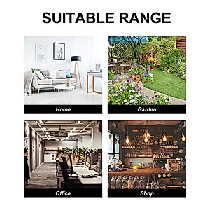 SHERCHPRY 15 pcs Fish Tank Ornaments Mini containers Resin Container Fluorescence Decorate Props Decorations Bonsai Figurines Decor Sculptures Home Decor Statue Flowerpot Mushroom Statuette