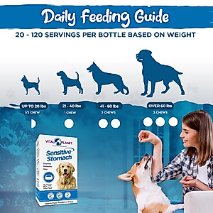 Vital Planet - Sensitive Stomach for Dogs with Enzymes, Probiotics and Fiber, Natural Digestive Support for Upset Stomach with Fennel, and Peppermint, 60 Chicken Flavored Chewable Tablets