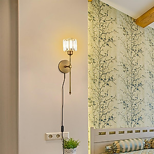 SKIVTGLAMP Industrial Wall Sconce Plug-in Cord with Remote Control, No Drilling Wall Mounted Dimmable LED Edison Bulbs Farmhouse Wall Hanging Upward for Home Decor Gallery Customizable 2 Lights