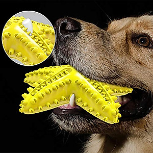 lifein Dog Chew Toy - Squeaky Toothbrush Durable Rubber Dog Toys for Teeth Cleaning, Tough Dog Toys for Aggressive Chewers Puppy/Medium/Large Dog Breeds Dental Care