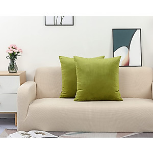 TangDepot Set of 2 Velvet Throw Pillow Covers, Super Soft, Euro Pillowcases - (24x24 Inch 2 Pieces, G01 Olive Green)