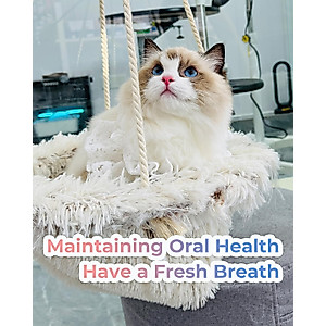 XUEPETT 2 Pcs Dual Sided Cat Toothbrush with Micro Brush Head, Anti-Slip Curved Handle, Cat Dental Care Supplies Eliminates Bad Breath and Reduces Plaque Tartar Formation