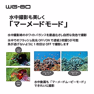 Ricoh WG-80 Orange Waterproof Digital Camera Shockproof Freezeproof Crushproof (International Version)