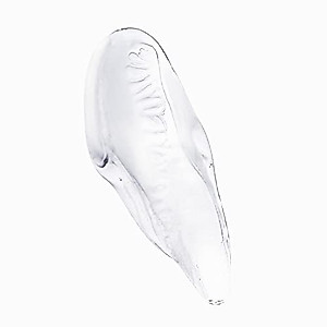 KERASTASE Chroma Absolu Chroma Hair Gloss | High Shine Treatment for Damaged Color-Treated Hair | Strengthens and Adds Shine | Lightweight Formula with Lactic Acid | Soin Acide | 7.1 Fl Oz