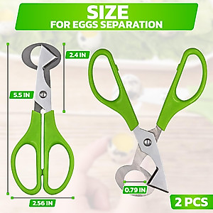 2 Pcs Quail Egg Scissors - Heavy-Duty Quail Egg Cutter Tool with Stainless Steel Sharp Blades & Ergonomic Grip - Compact Size (5.5" x 2.56") with 0.79" Diameter for Quick & Precise Cutting