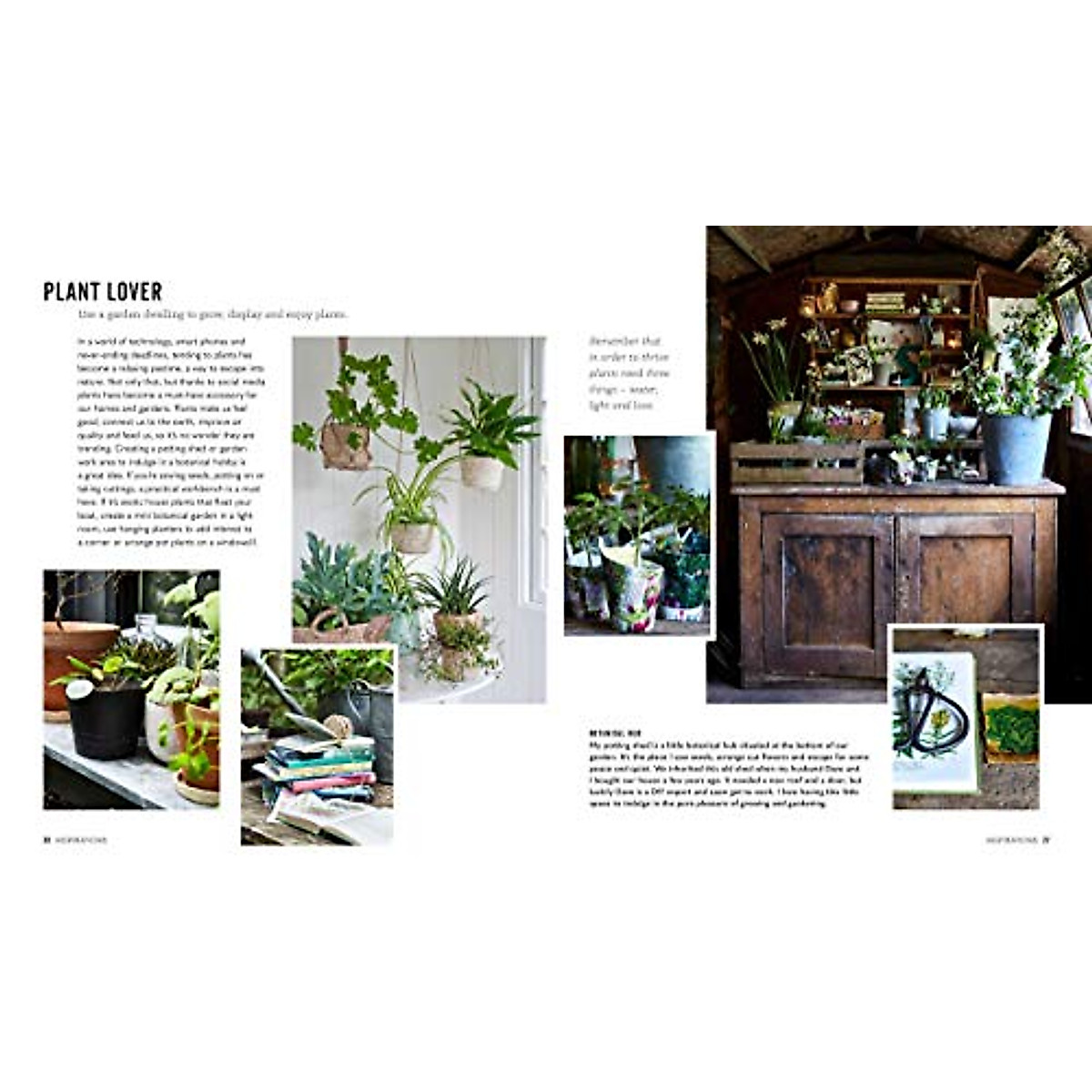 Shed Style: Decorating cabins, huts, pods, sheds & other garden rooms