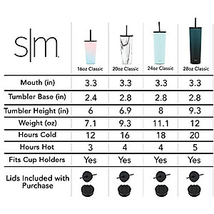 Simple Modern Insulated Tumbler with Lid and Straw | Iced Coffee Cup Reusable Stainless Steel Water Bottle Travel Mug | Gifts for Women Men Her Him | Classic Collection | 20oz | Pacific Dream