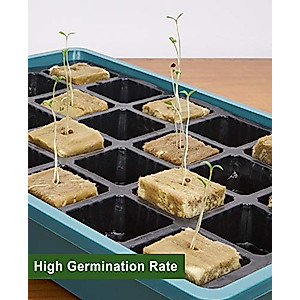 BIOMAND 1.5” Rockwool Starter Plugs for Hydroponics, Rockwool Grow Cubes, 2 Sheets of 49 Plugs, 98 Plugs Total