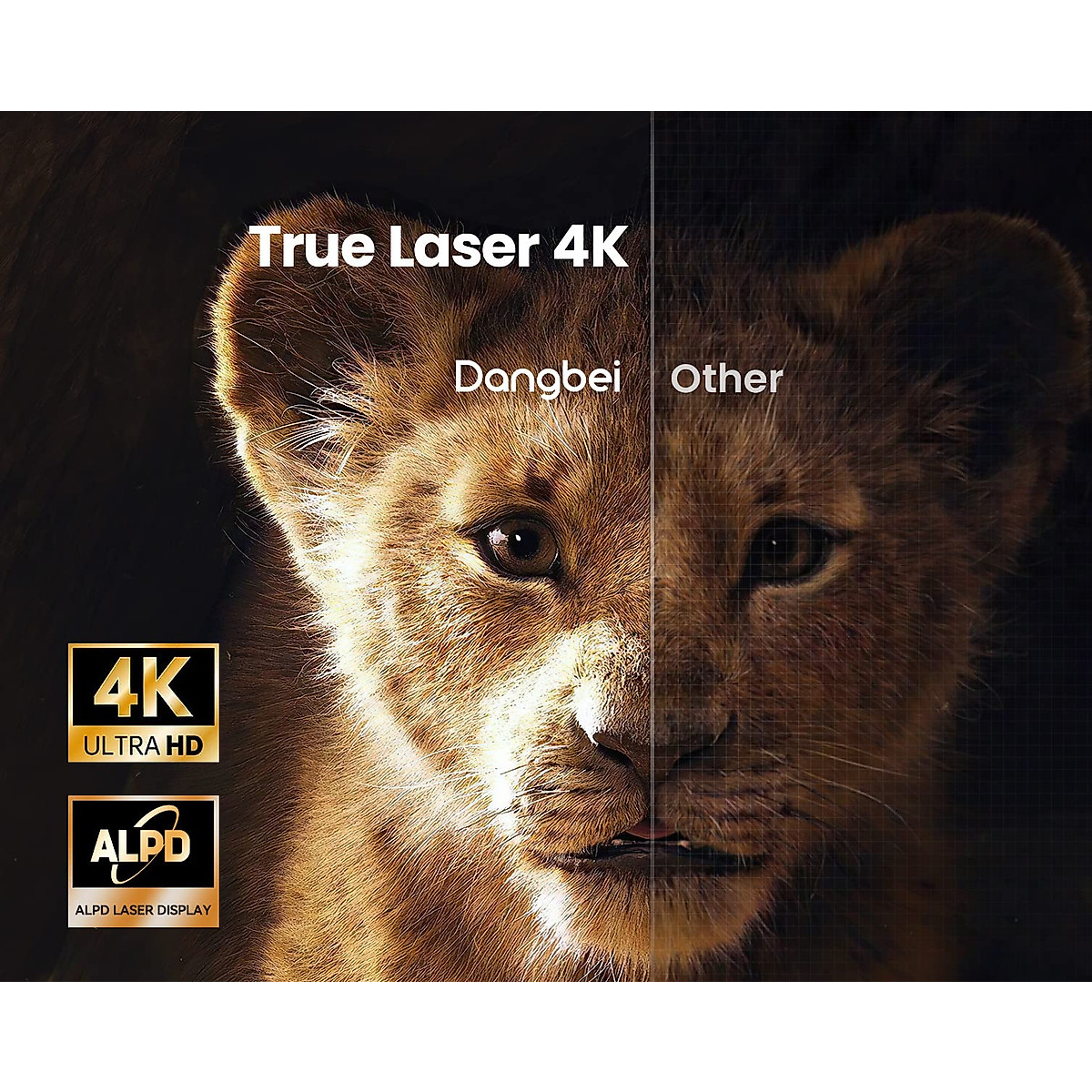 Dangbei Mars Pro 4K Projector & Floor Stand & Streaming Dongle