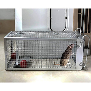 2-Pack Humane Rat Traps, Live Mouse Rat Cage Traps Catch and Release for Indoor Outdoor, Small Animals Traps, Easy to use,(10.6"x 5.5"x 4.5")