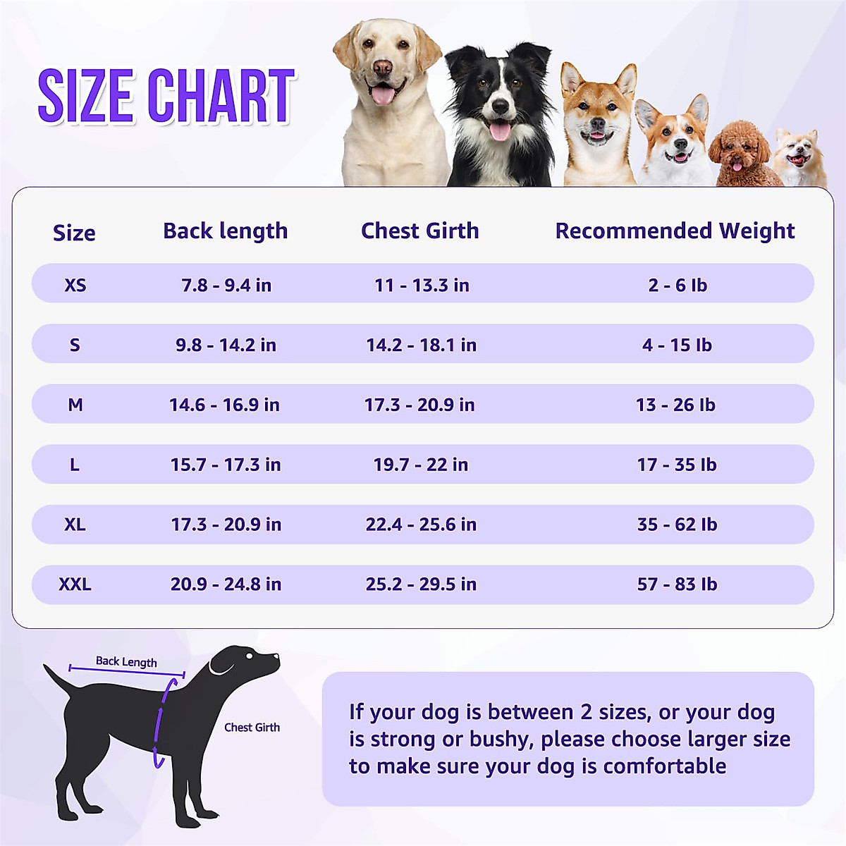 SlowTon Dog Surgery Recovery Suit - Zipper On Dog Onesies After Surgery for Female Male Dog, Abdominal Wounds Bandages Cone/E-Collar Alternative Dog Surgical Body Suit (Purple, M)
