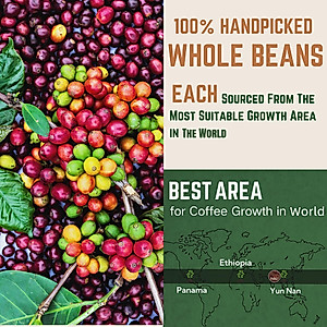 HALI Whole bean Coffee Beans Espresso Beans Whole Geisha Coffee Beans Light Medium Roast Ethiopia Coffee Floral Citrus Sweet Flavor Notes Freshly Roasted Coffee Beans Whole , Ethiopia Gesha 8 Ounce 8oz Pack