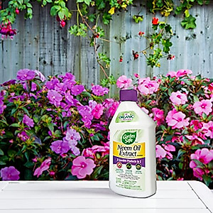 Garden Safe Neem Oil, 10 Fl Oz,  Case Pack of 6