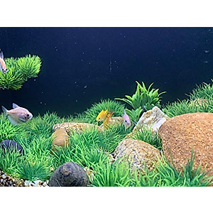 Artificial Aquarium Green Water Plants Tree Set 25 Pcs, Fish Tank Aquarium Decorations, Made of Soft Plastic, Safe for All Fish & Pets (Set 1)