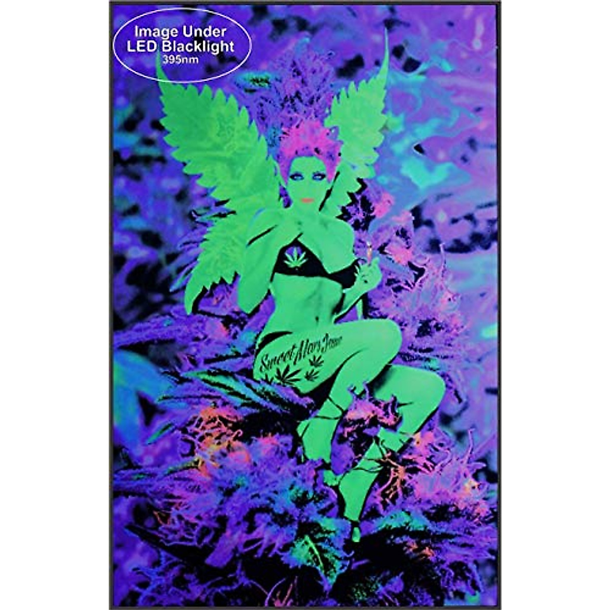 Studio B Weed Fairy Non-Flocked Blacklight Poster 24x36 inches