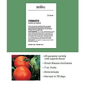 Burpee Celebrity Hybrid Tomato Seeds | Red Tomato Slicer | 35 Non-GMO Seeds for Planting | Disease-Resistant and Award-Winning Variety | Big Juicy Tomato for Summer Sandwiches