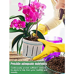 5 Quarts Orchid Potting Bark, Sun-Dried New Zealand Medium Organic Pine Wood Chip Barks for Orchids Mix Plant Compost, Natural Houseplant Mulch for Plant Root Development