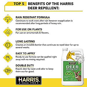 Harris Deer Repellent, Long Lasting Ready to Use Plant Safe Formula, 128oz