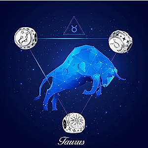 QeenseKc Taurus Horoscope Zodiac Sign Birthday Charm Constellation Clear CZ Astrology Bead for Bracelet Necklace