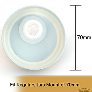Mason Jar Pour Spouts Lid TinPlate Mason Jar Lid Dispenser Sprouting Lid Free Flow (4 units Metal Multicolor)