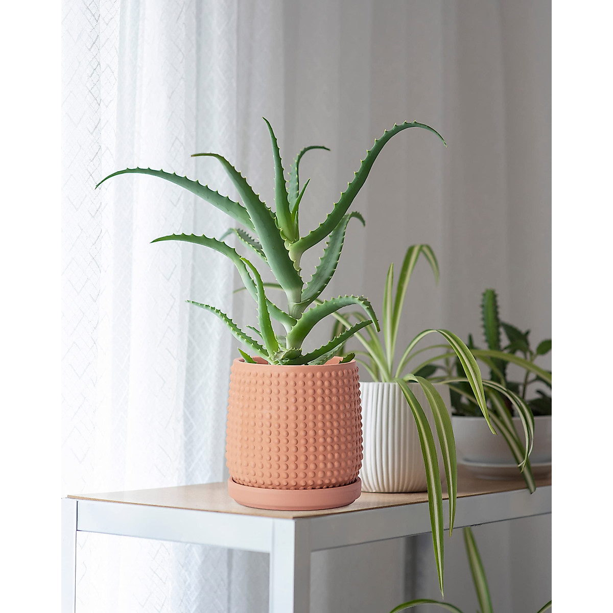 D'vine Dev 6 Inch Terracotta Beaded Planter Pot - Flower Pot with Drainage Hole and Saucer for Indoor Succulent Plants or Flowers, Terracotta, 27-C-X-7