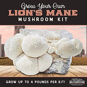 Grow Your Own Mushrooms Kit - Lion's Mane Mushroom - 5lb Indoor Grow Kit - Grow up to 4 Pounds