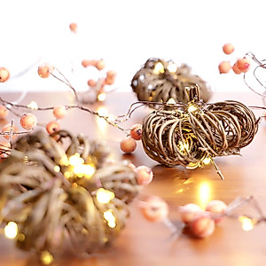 MIYA LIFE Nature Rattan Pumpkin String Lights 10FT 30LEDs - Fall Garland with Lights Battery Operated Wicker Pumpkin Lights - Perfect Autumn Lights Fall Decorations for Home (Rattan Pumpkin 1)