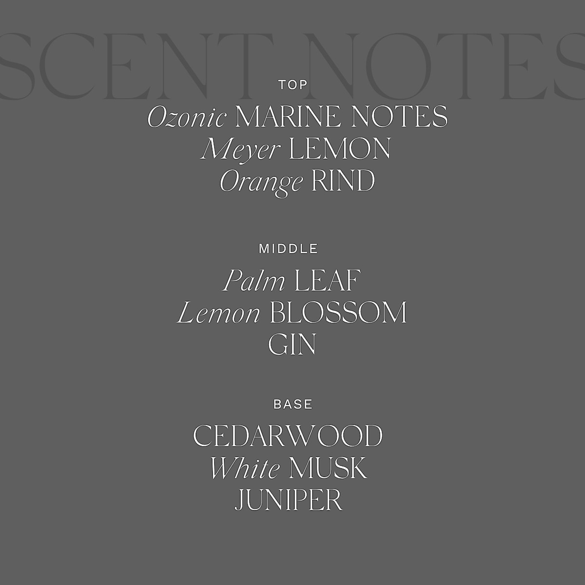 Antica Farmacista Scented Candle, Wave, 9 Ounce