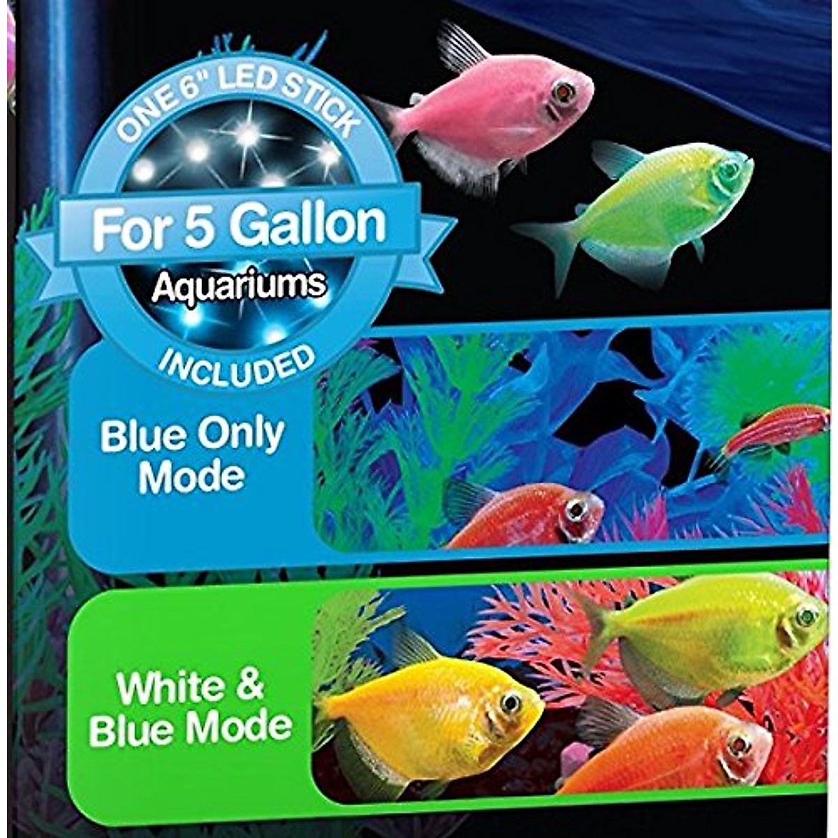 GloFish LED Light 5 Gallons, Blue and White LED Lights, for Aquariums Up to 5 Gallons, Model:29028