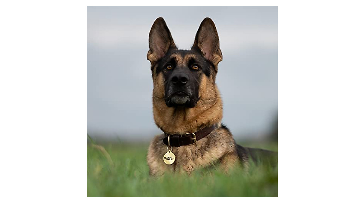 Custom Engraved Dog Tags – Durable & Personalized