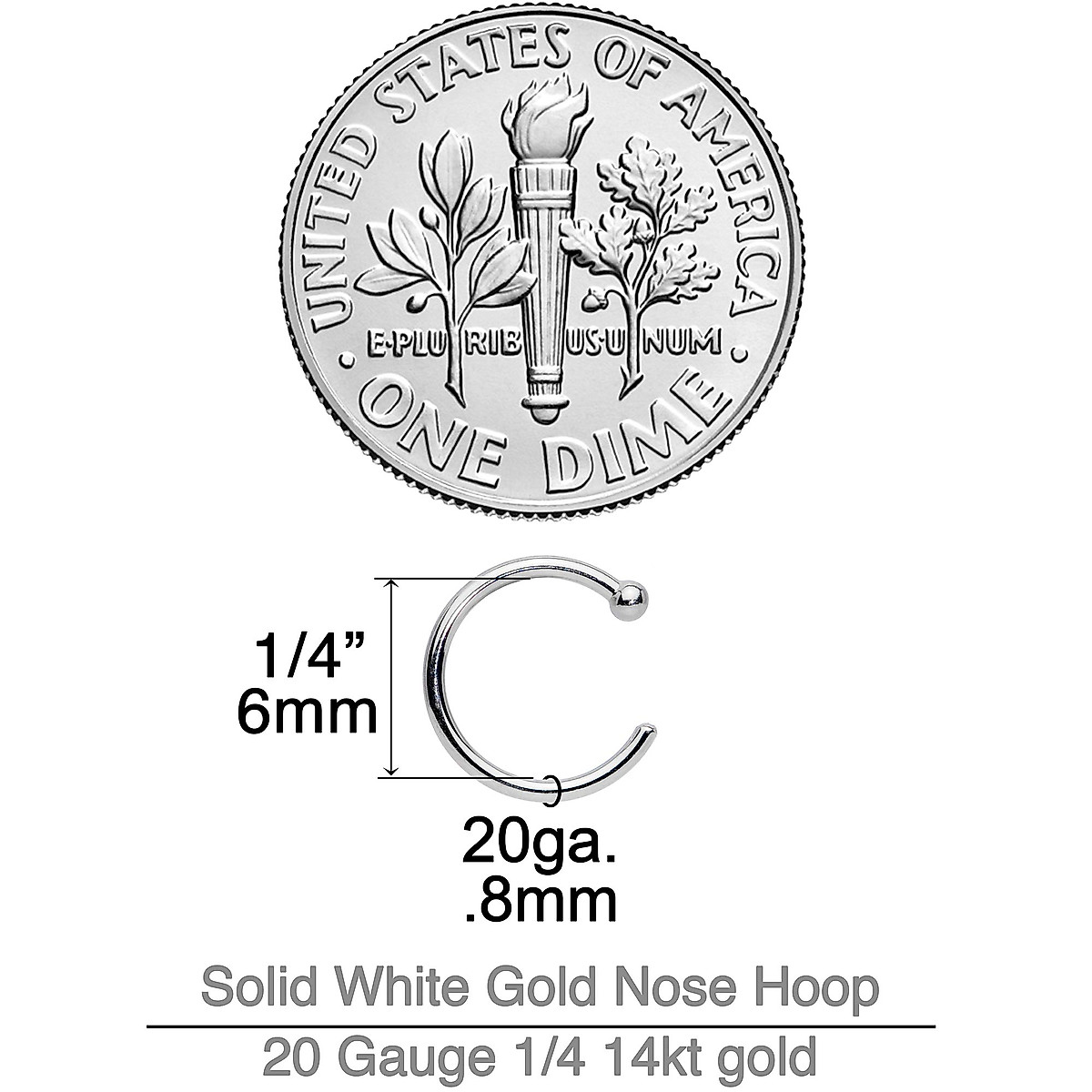 Body Candy Tiny Nose Hoop 20 Gauge 1/4 Small Diamenter Solid 14k White Gold 6mm Nose Hoop