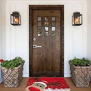 Door Mat 16 x 24 in Merry Christmas Cute Cartoon Elk Print Non-Slip Floor Mats Front Door Welcome Carpet for Indoor Outdoor