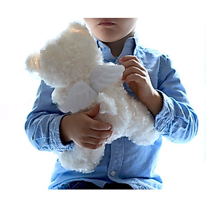 Cuddly Children's Sympathy Gift for Grieving Child, Stuffed Animal Angel Bear Plush with Gift Bag and Card for Memorial Funeral Present, Comfort Children for Loss of Loved One