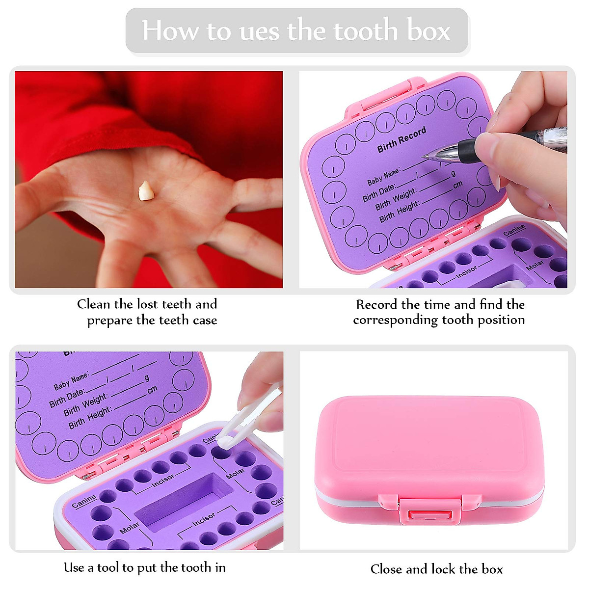 2 Pieces Baby Keepsake Tooth Box PP Baby Teeth Storage Holder Fairy Tooth Boxes Saver First Tooth Collection Container for Boys and Girls (Pink with Purple, Blue)