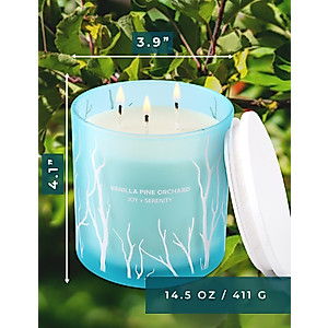 Vanilla Pine Apple Orchard Winter Candle - Natural Soy Pine Scented Candle 3 Wick - Christmas Fir Tree Holiday Scented Candle for Home 14.5 Oz - Large Relaxing Vanilla Candle Gift for Women & Men