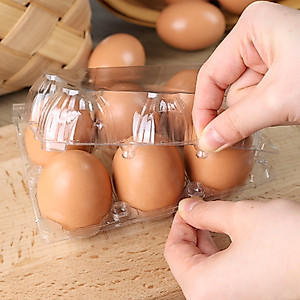 HANSGO Clear Egg Cartons Bulk, Half Dozen Eggs Storage Containers for Home Ranch Chicken Farm Market Display, 60 PCS