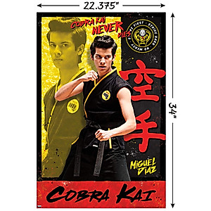 Trends International Cobra Kai - Miguel Wall Poster, 22.37" x 34.00", Unframed Version