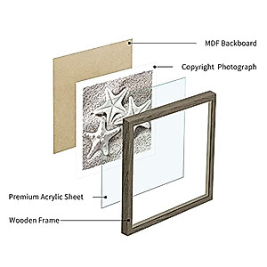 Framed Beach Gallery Wall Art: Starfish Seashell Conch Collection Pictures Prints Set of 4 Wall Decor for Bedroom (Multi-Style)