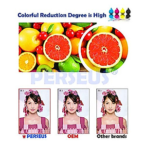 PERSEUS Compatible Ink Cartridge Replacement for Brother LC3011 LC3011BK Black, use for MFC-J690DW, MFC-J491DW, MFC-J895DW, MFC-J497DW Printer Ink, 2pack