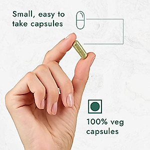 Sugar Knocker - Herbal Supplement - Pack of 1 (90 Veg Capsule)