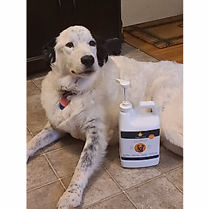 Smart Earth Camelina Oil for Dogs - Omega 3, 6, 9 Supplement for Healthy Skin, Shiny Coat & Flexible Joints - Dog Joint Supplement - Natural Canine Wellness - Omega 3 for Dogs (Pump Included - 64oz)