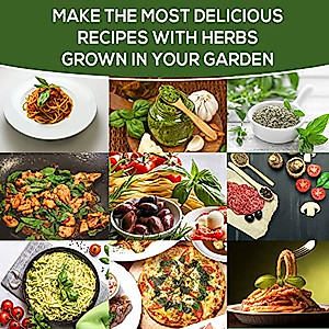 Basil Seeds for Planting Home Garden Herbs - Individual Pack of 550+ Heirloom Seeds, Suitable for Outdoors, Indoors, and Hydroponics - Non-GMO, Non-Hybrid, Untreated, and USA Grown Variety