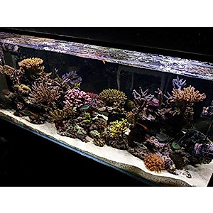 KZKR LED Aquarium Hood Lighting 72-78 inch Fish Tank Light Lamp for Freshwater Marine Saltwater Blue and White Decorations Light 6-7ft (34W) 180cm - 200cm