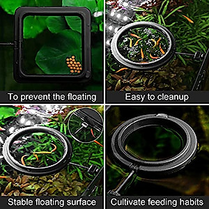 Molain Fish Feeding Ring, 2 Pieces Fish Feeder Aquarium Fish Turtle Tank Accessories Food Feeder Circle for Guppy, Bettas, Goldfish, Turtle (Black)