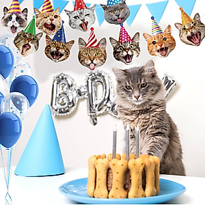 Cat Party Decorations Cat Happy Birthday Banner Cat Face Birthday Garland Funny Cat Banner for Cat-Themed Party Decor Baby Shower Favor Bunting Supplies